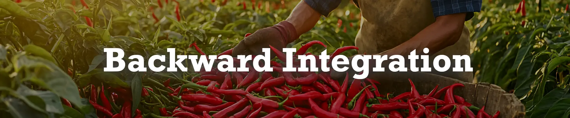 Backward Integration